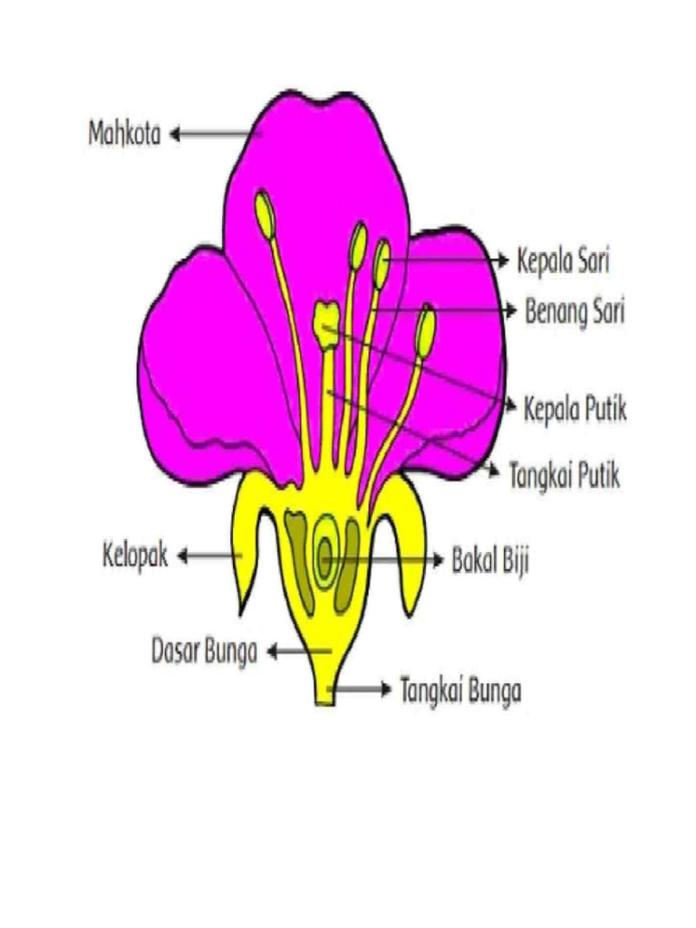 Bunga Sempurna | PDF