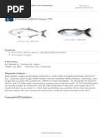 Konkani Names for Common Fish | PDF | Poetry