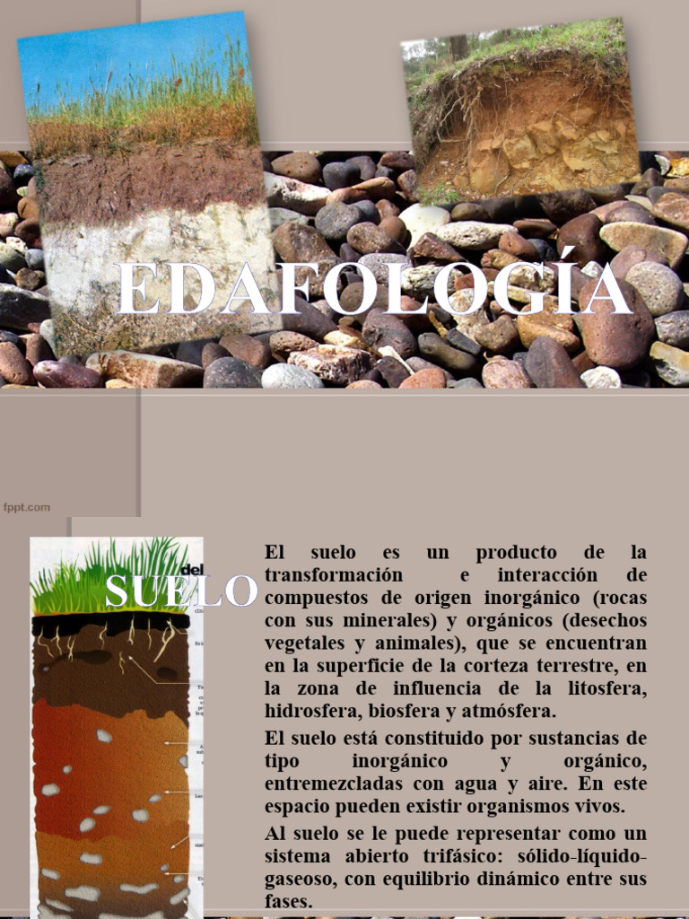 Unidad III - Edafología | Descargar gratis PDF | Suelo | Roca (geología)