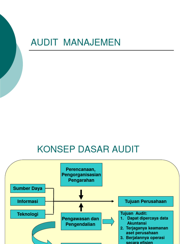 Panduan Audit Manajemen | PDF