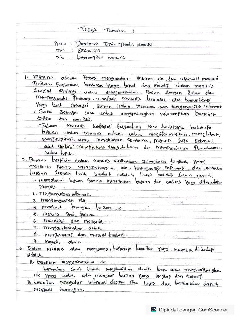 Tt1 Damianus Dedi Keterampilan Menulis | PDF