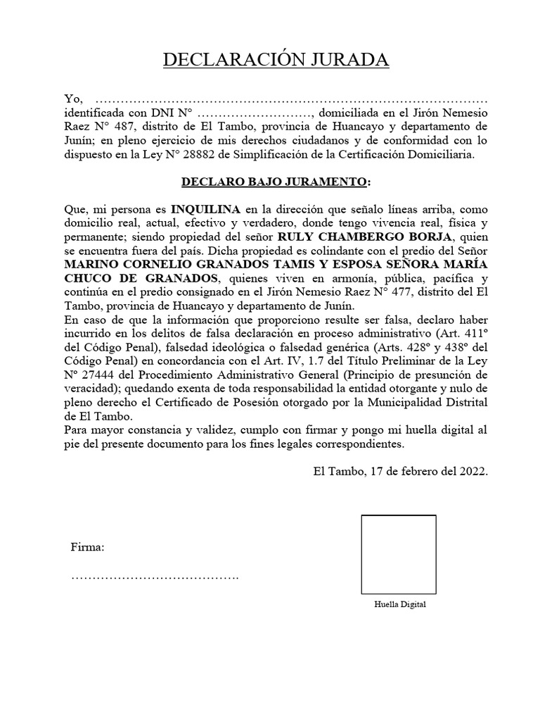 Declaración Jurada | PDF | Política | Ciencias sociales