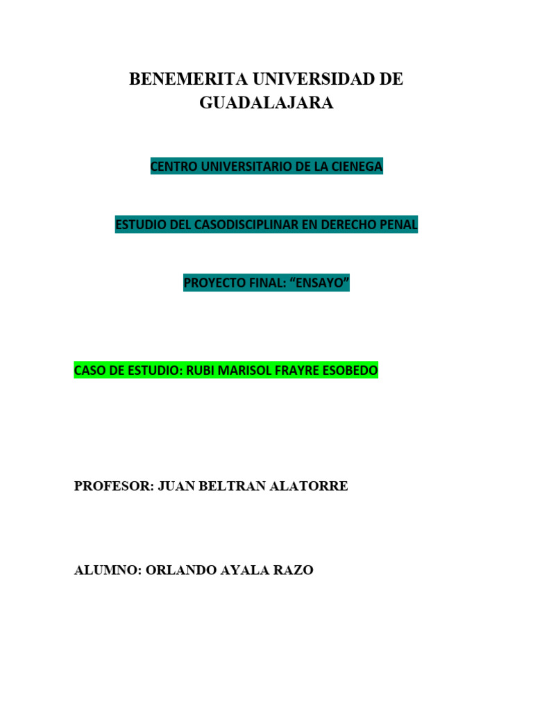 Justicia y Impunidad en el Caso Rubí Frayre | PDF | Justicia | Crimen y ...