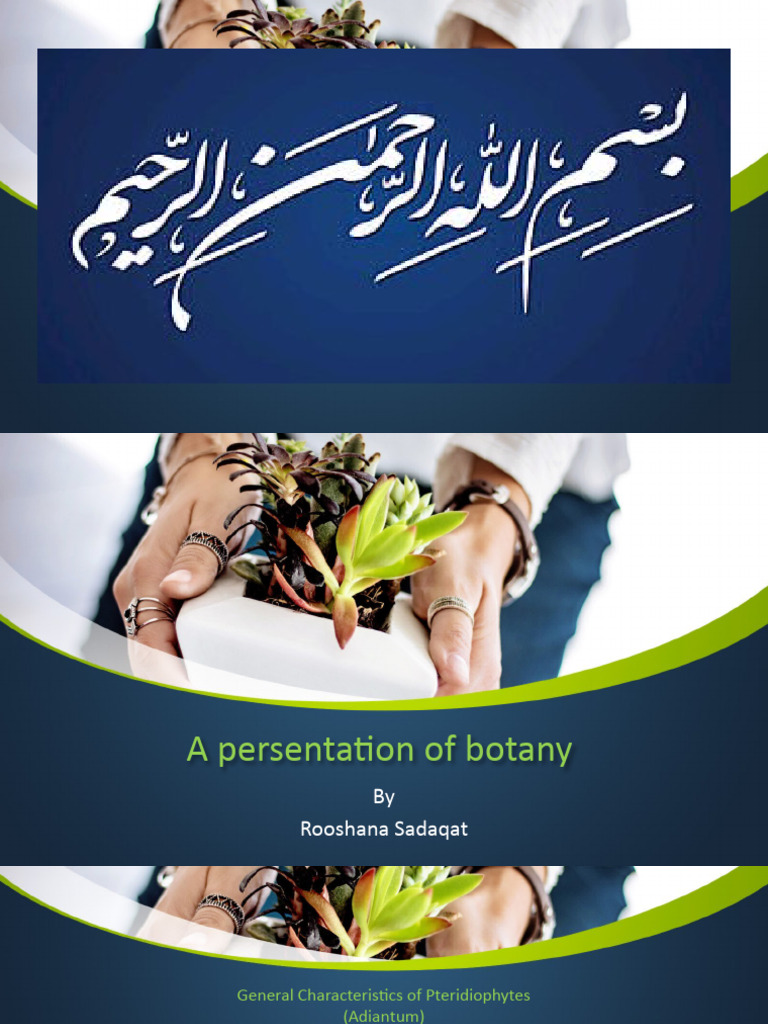 Botany Presentation Pdf Spore Fern