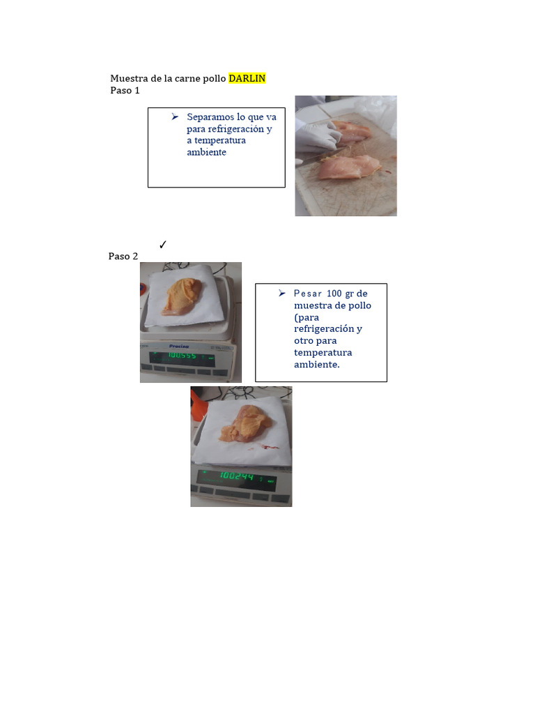 Muestra de Carne de Pollo DARLIN | PDF