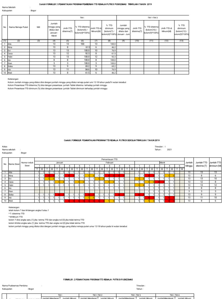 Pemantauan TTD Remaja Putri 2019 | PDF