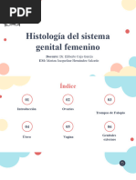 GUIA de ESTUDIO Especuloscopía | PDF | Vagina | Medicina