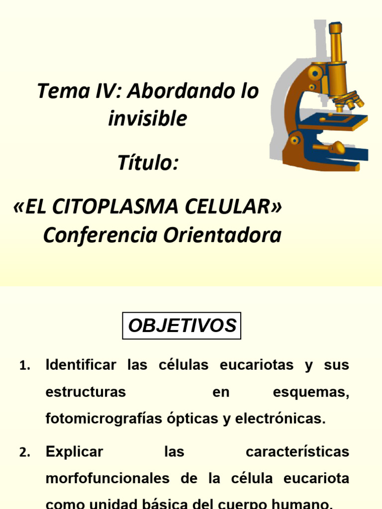 Citoplasma Celular | PDF | Citoplasma | Retículo endoplásmico