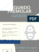 Segundo Molar Inferior | PDF | Ramas de Odontología | Boca