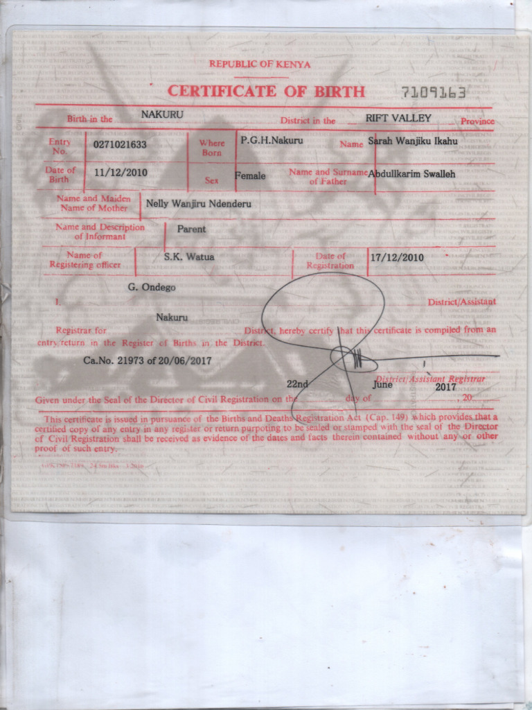 Sarah Wanjiku Birth | PDF