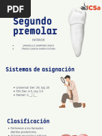 Primer Molar Inferior Permanente | PDF