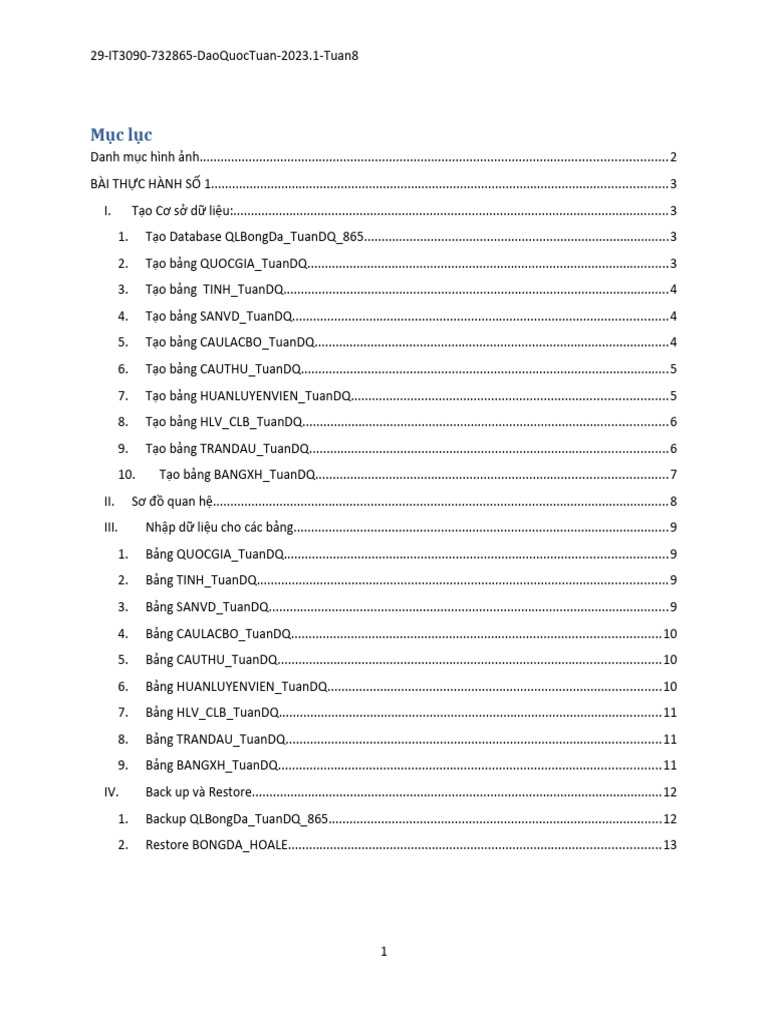 Bai Tap Thuc Hanh CSDL | PDF