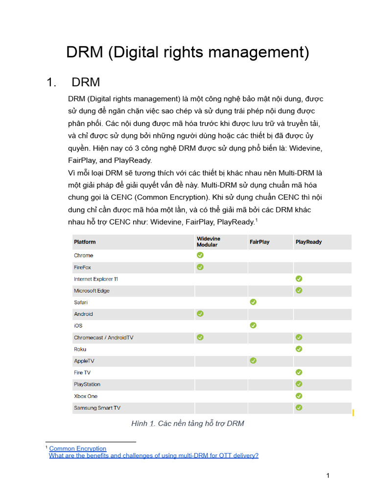 DRM | PDF