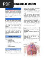 Structure of Human Heart | PDF