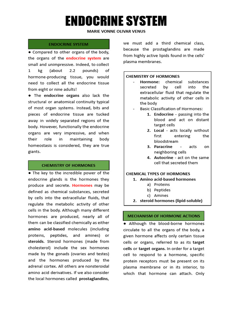 Endocrine System | PDF | Endocrine System | Hormone