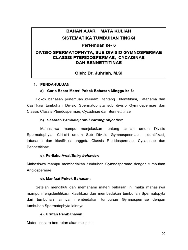 Bahan Ajar 6 STT Gymnospermae | PDF