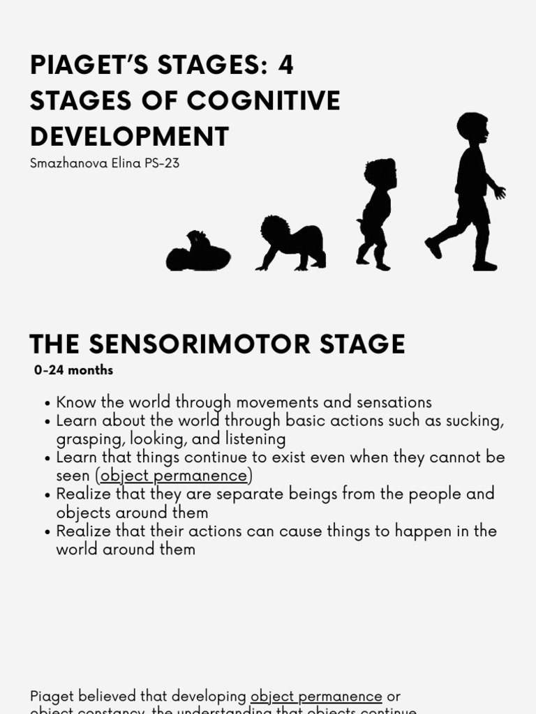 Cognitive Development | PDF