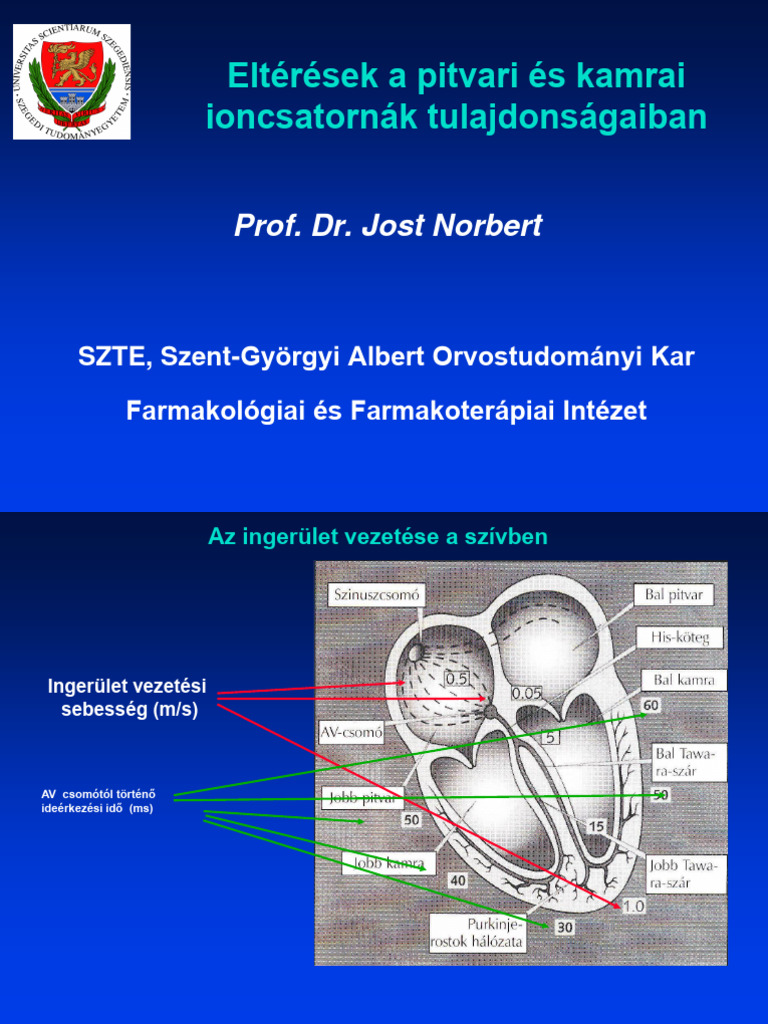 NJ 2023 Pitvar Vs Kamra | PDF