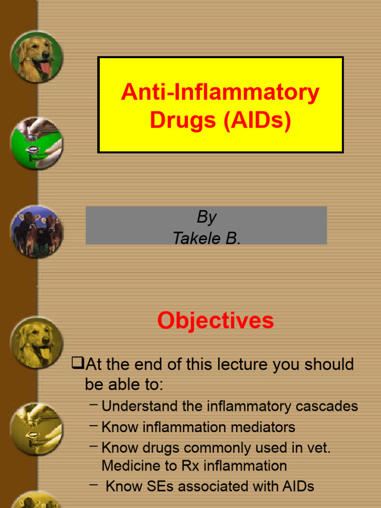 Anti-Inflammatory Drugs | PDF | Glucocorticoid | Nonsteroidal Anti ...