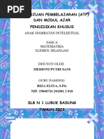 Modul Ajar SLB | PDF