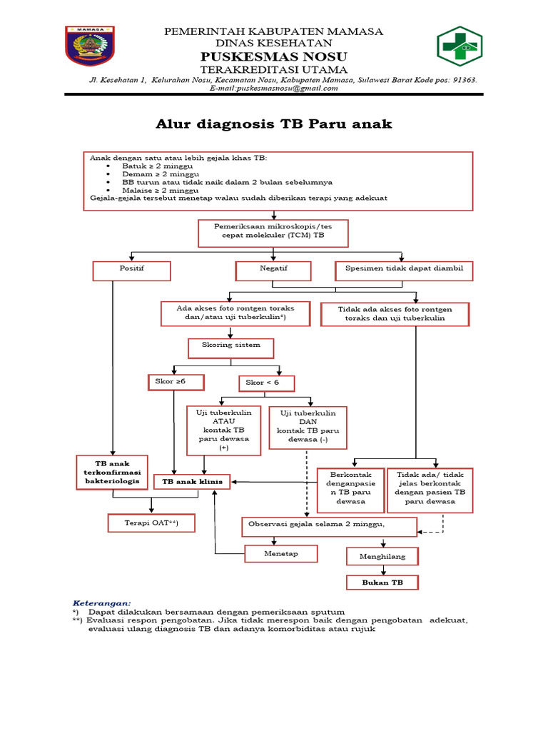 Alur Diagnosis TB Paru Anak | PDF