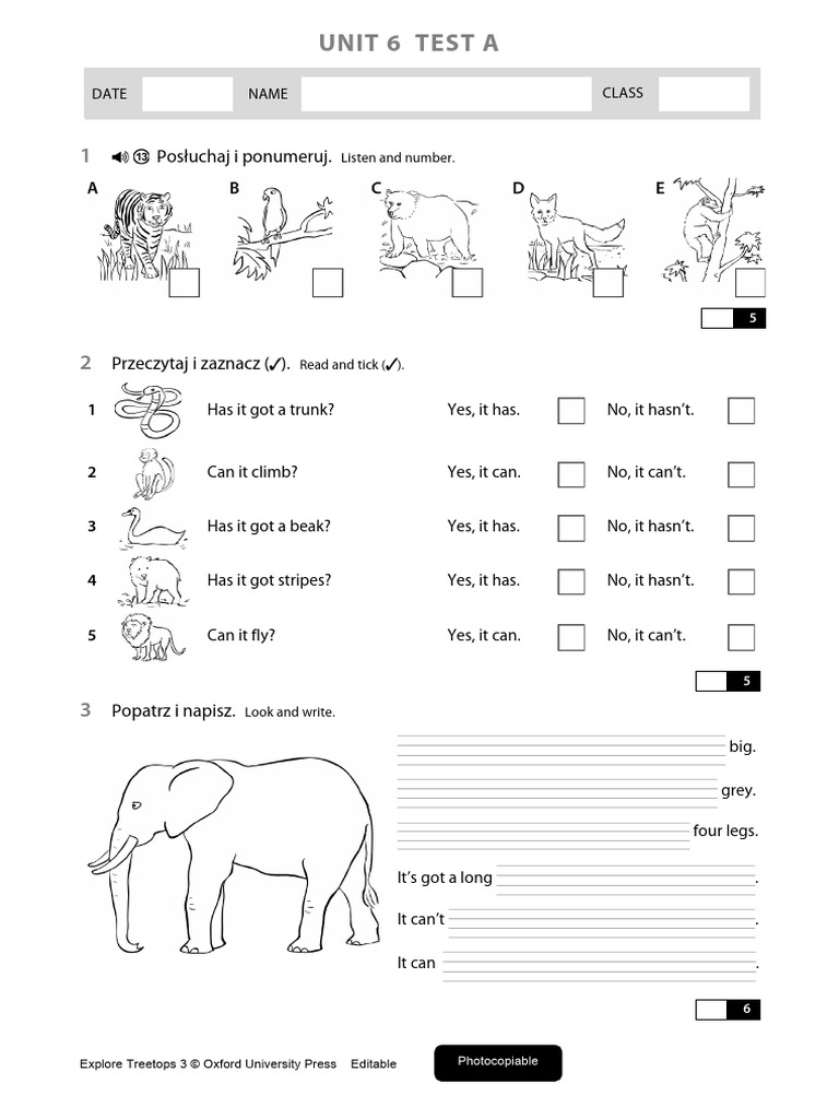 Explore Treetops Klasa III. Test Unit 6 | PDF | Birds | Ornithology