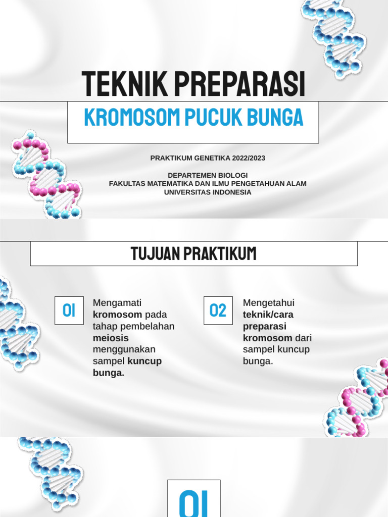 1 - Materi Teknik Preparasi Kromosom Pucuk Bunga - Praktikum Genetika ...