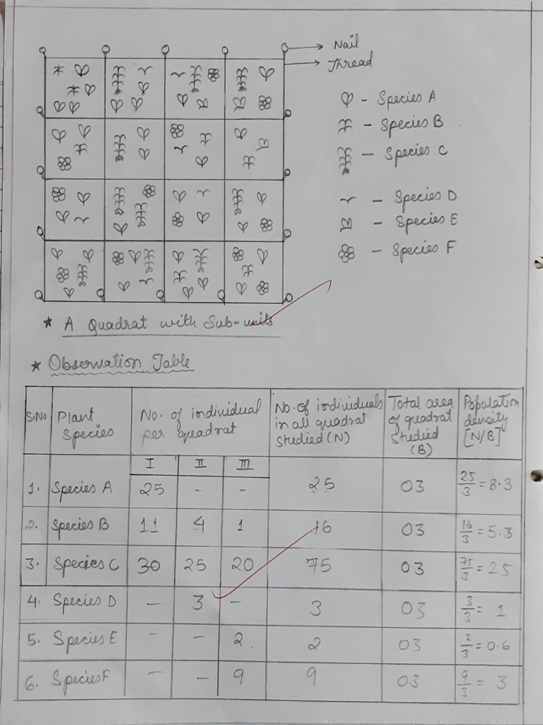 Experiment 2 Pdf