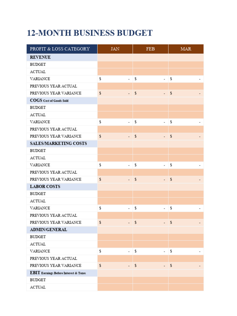 IC 12 Month Business Budget Template 8821 Updated | PDF