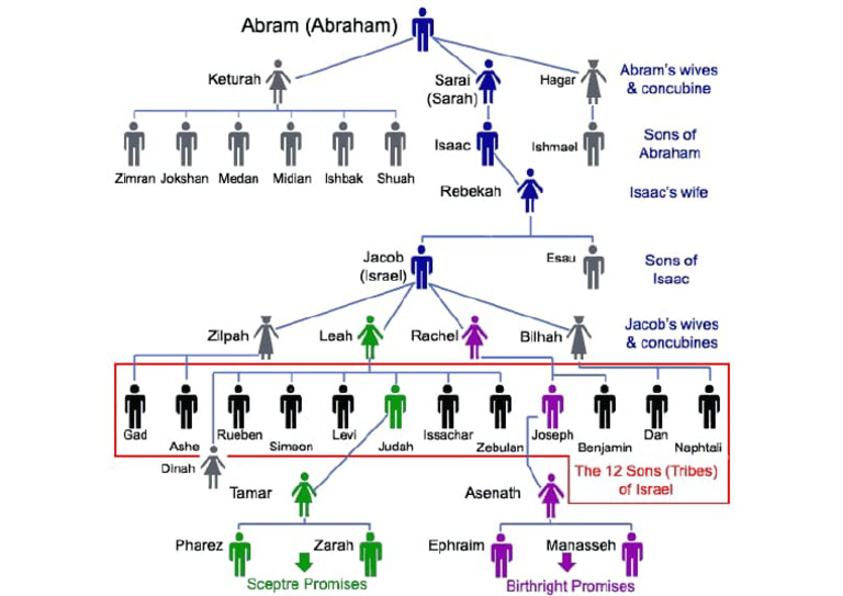 Abram Family Tree | PDF