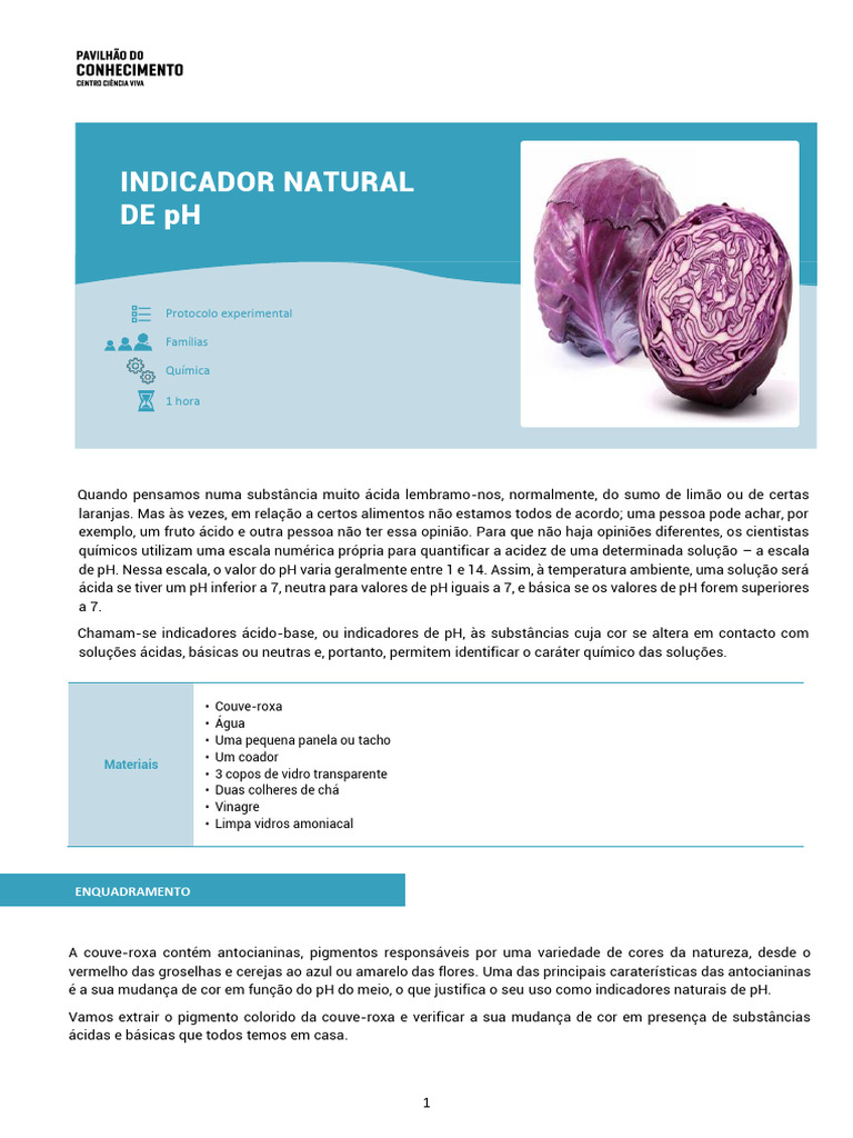 Indicador Natural de pH com Couve-Roxa | PDF | Ph | Ácido