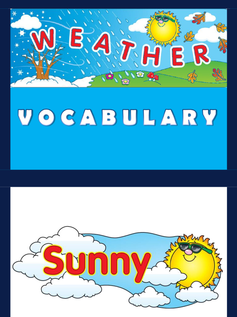 Weather Descriptions and Forecasts Guide | PDF