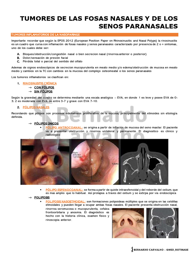 Tumores de Las Fosas Nasales y de Los Senos Paranasales | PDF | Cáncer | Epidemiología