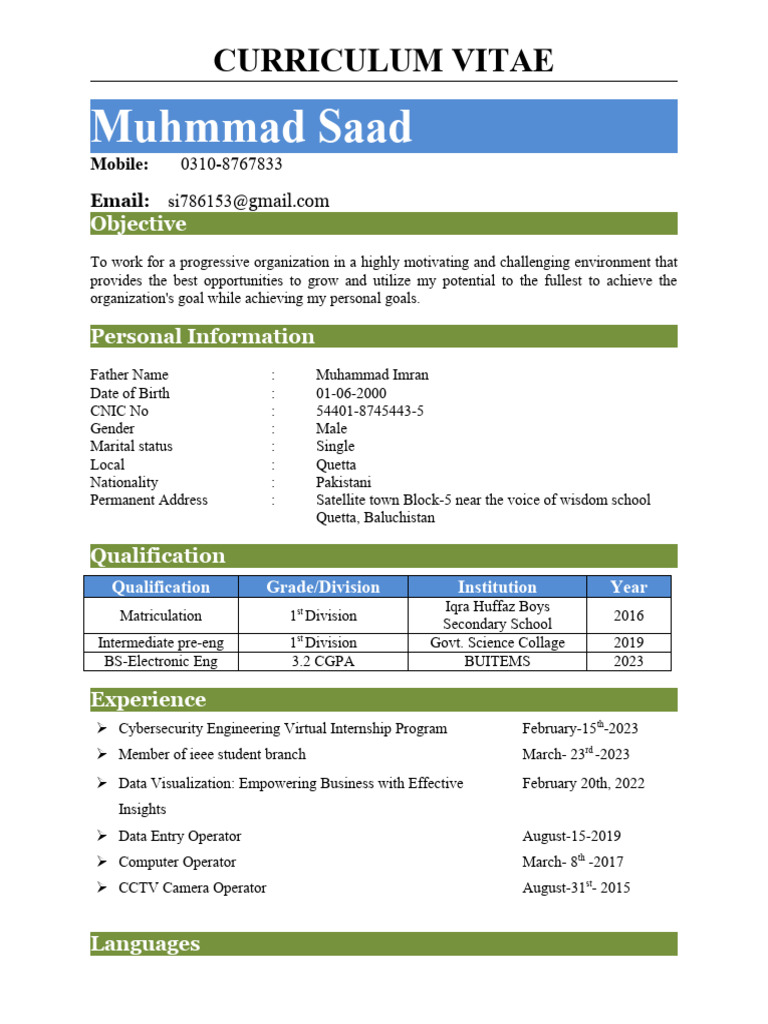 Simple CV Template | PDF | Computing