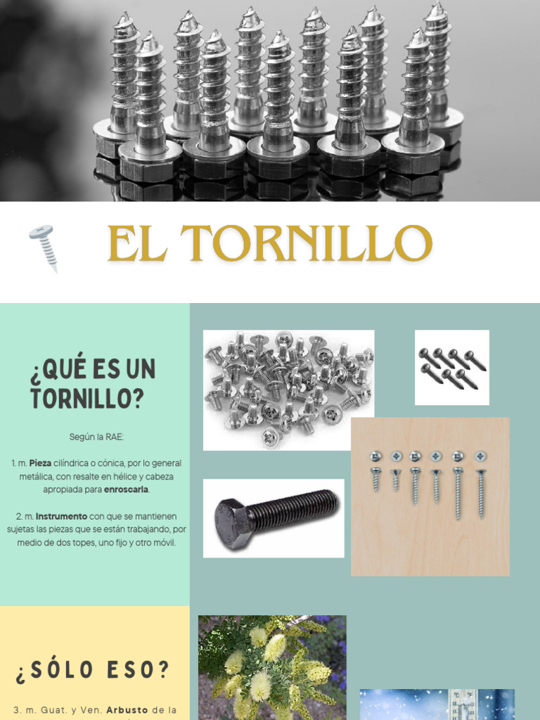El Tornillo | PDF | Tornillo | Rieles