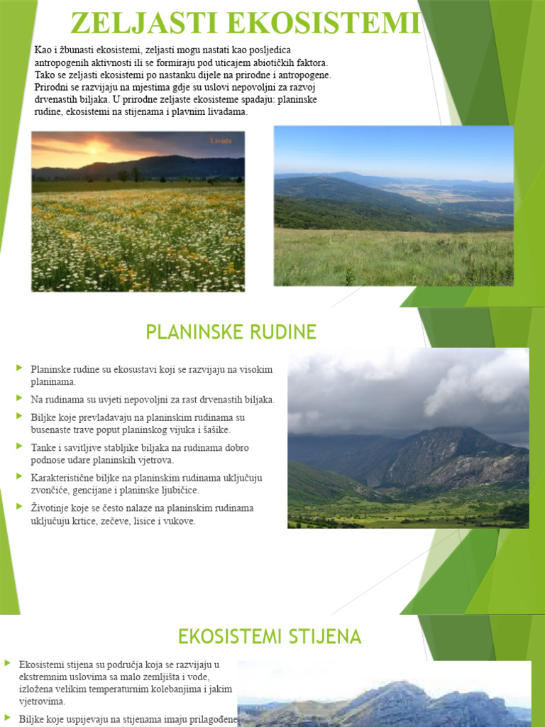 Zeljasti Ekosistemi | PDF
