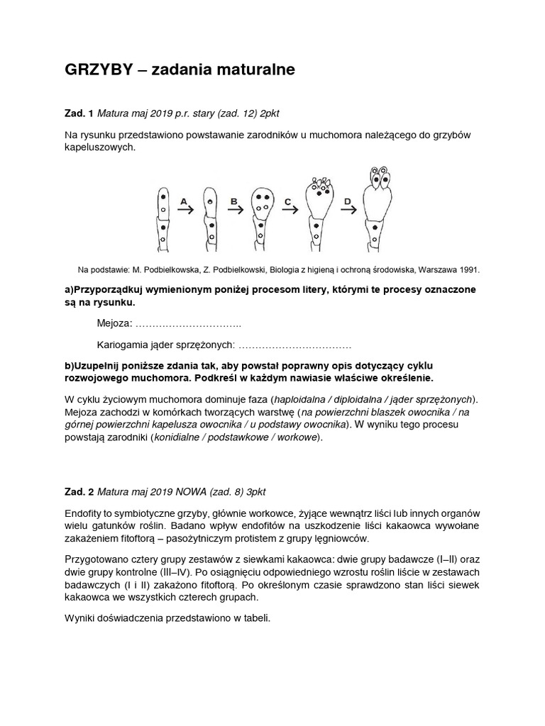 Zadania Maturalne | PDF