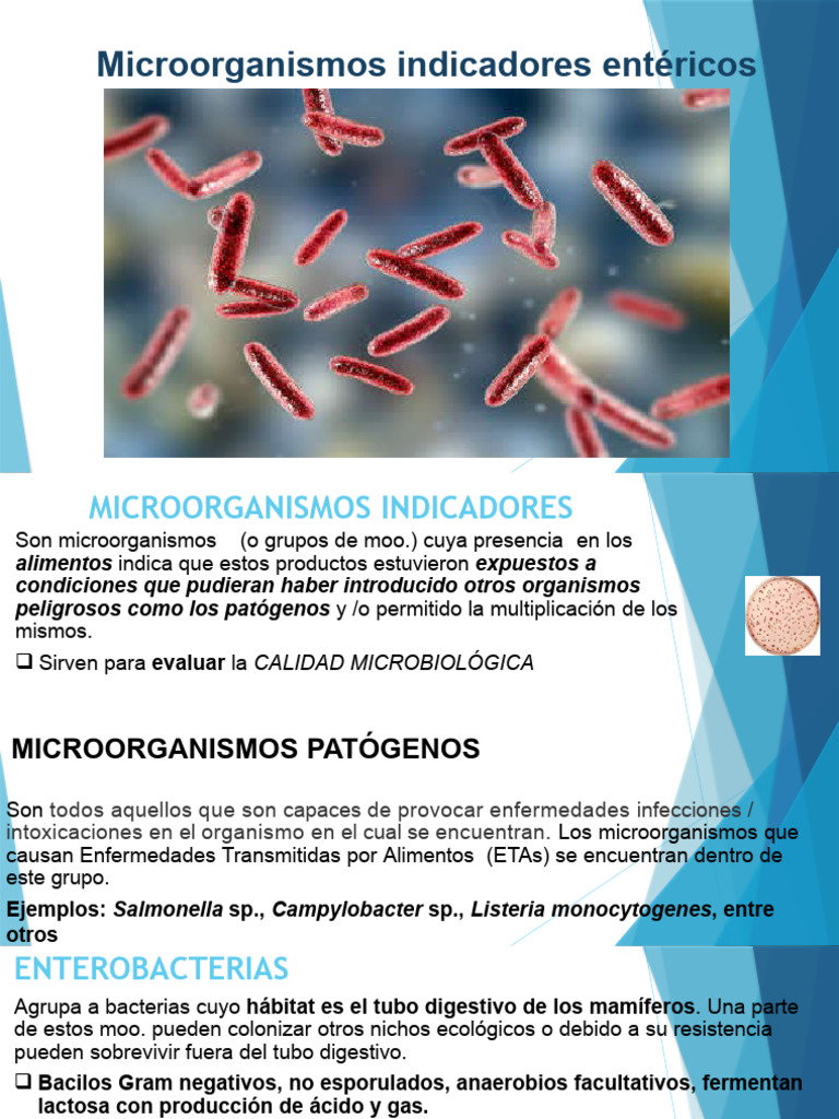 Enterobacterias - Coliformes - E. Coli - Criterio Microbiolã Gico ...