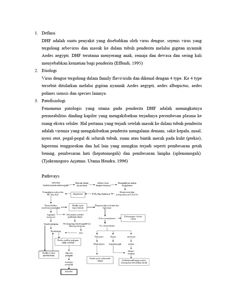 Panduan DHF untuk Perawat | PDF