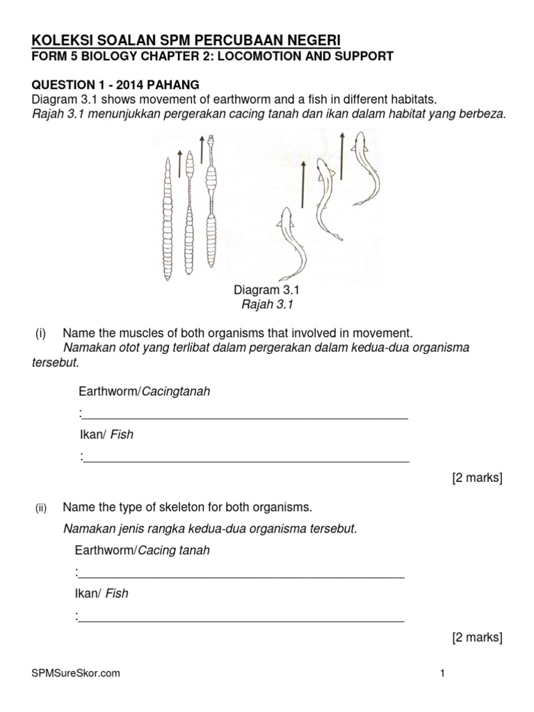 2018 SPM State Trial Questions Tutorial (Form 5 Chapter 2) | PDF