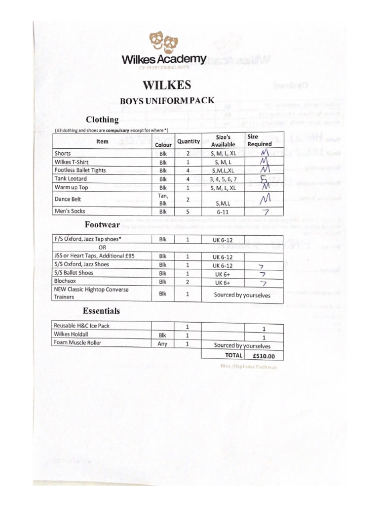 Wilkes Academy | PDF