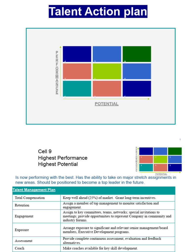 Talent Action Plan | Download Free PDF | Employee Retention | Mentorship