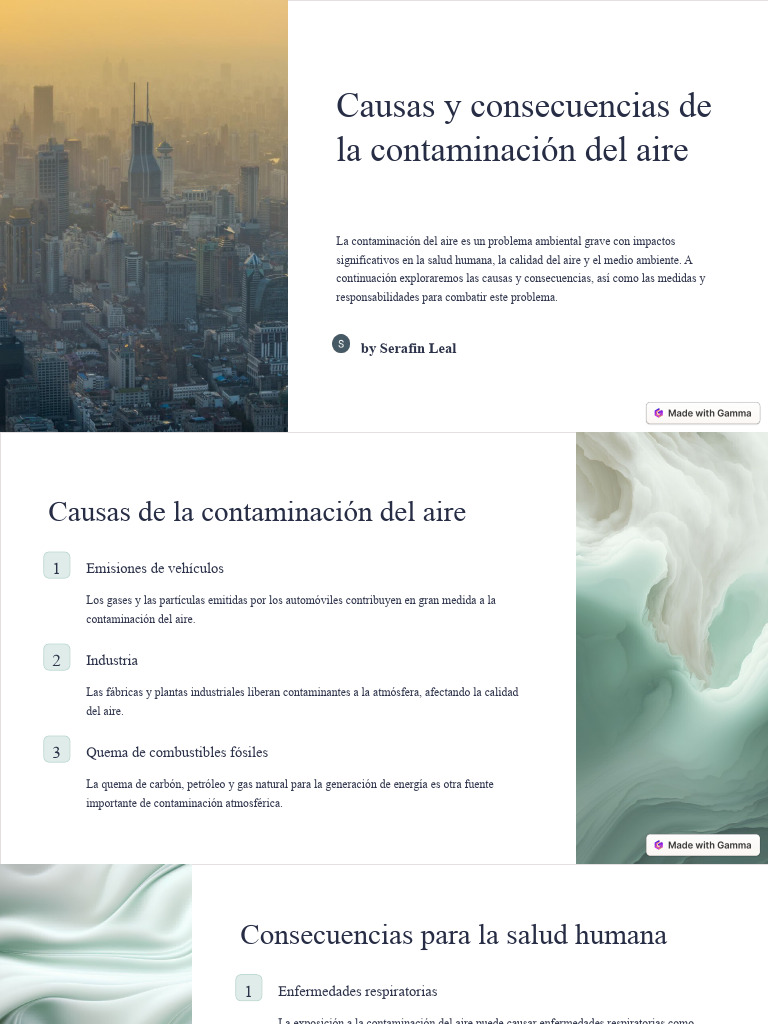 Causas y Consecuencias de La Contaminacion Del Aire | PDF | La contaminación del aire ...