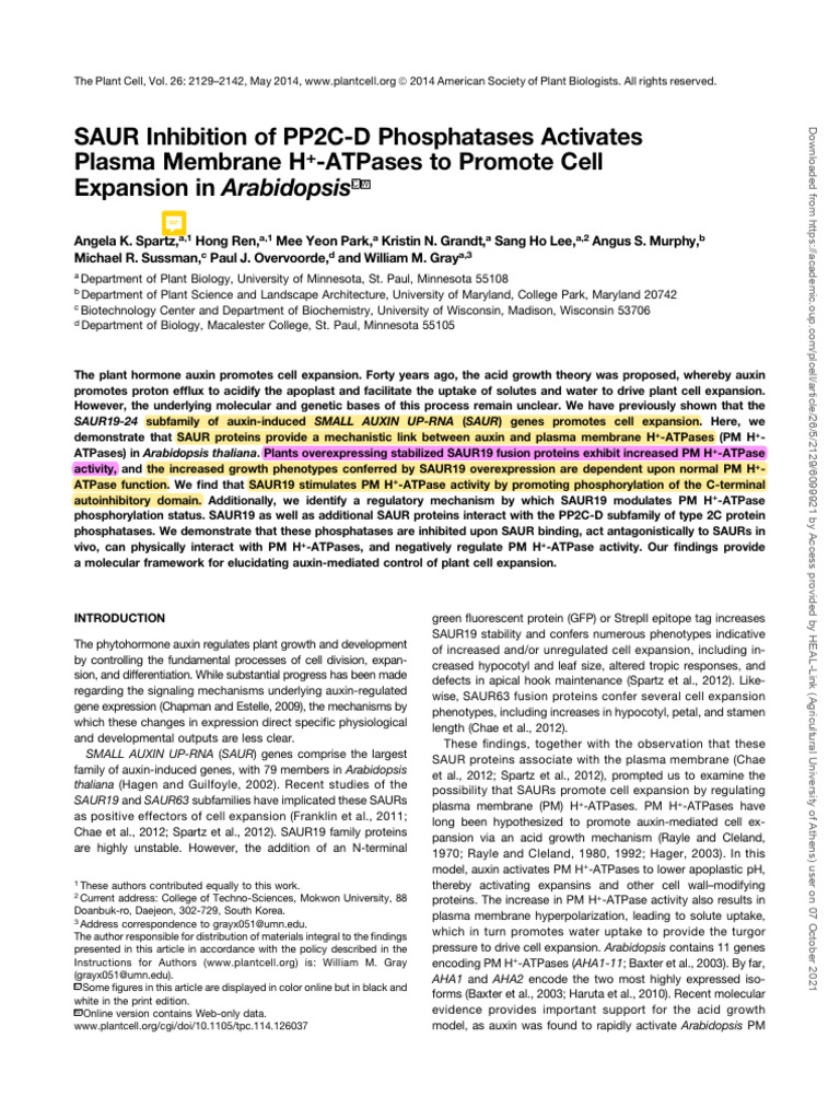 Saur Inhibition of Pp2C-D Phosphatases Activates Plasma Membrane H ...