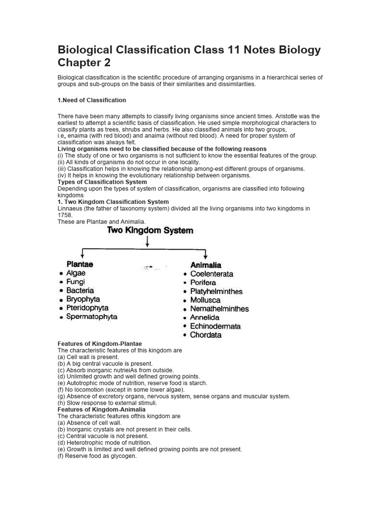 Biological Classification Class 11 Notes Biology C | PDF | Bacteria ...