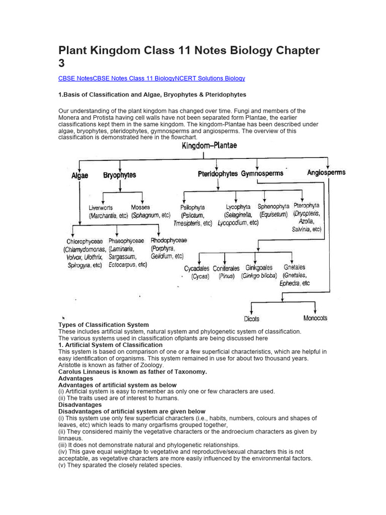 Plant Kingdom Class 11 Notes Biology Chapter 3 | PDF | Spore | Plants