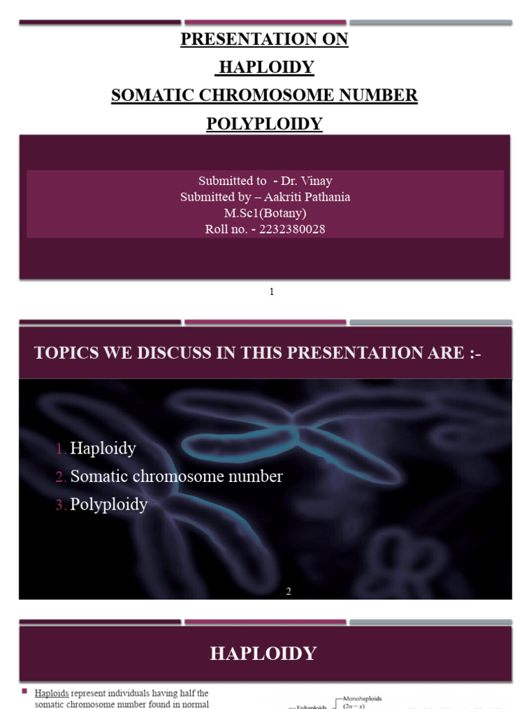 Haploidy, Somatic Chromosomes & Polyploidy | PDF | Ploidy | Biological ...