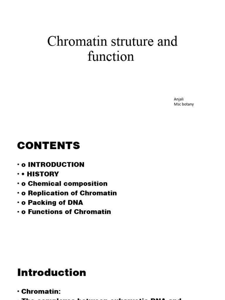 Chromatin and Structure | PDF | Chromatin | Histone