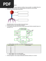 Prediksi Kisi Kisi Soal Osn Biologi Tahun 2025 | PDF