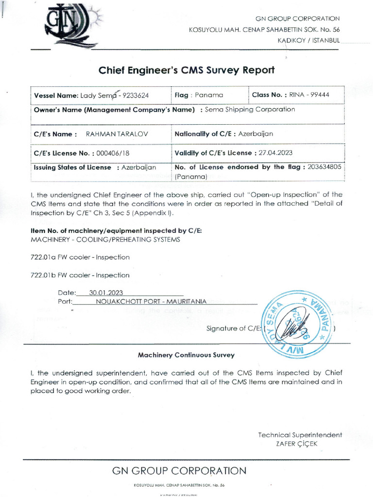 Cms Survey Report | PDF